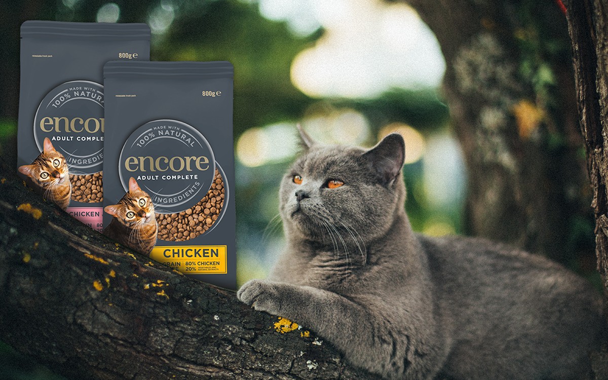 Encore Packaging - Law Print Pack