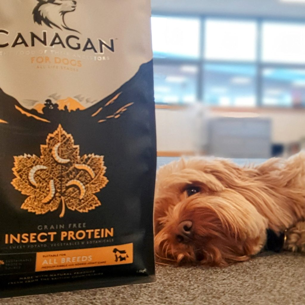 Canagan Insect Dog Food Packaging Case Study – Law Print Pack
